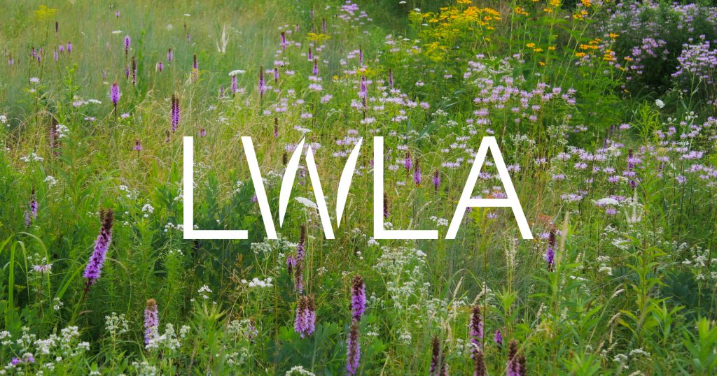 Practice - LWLA