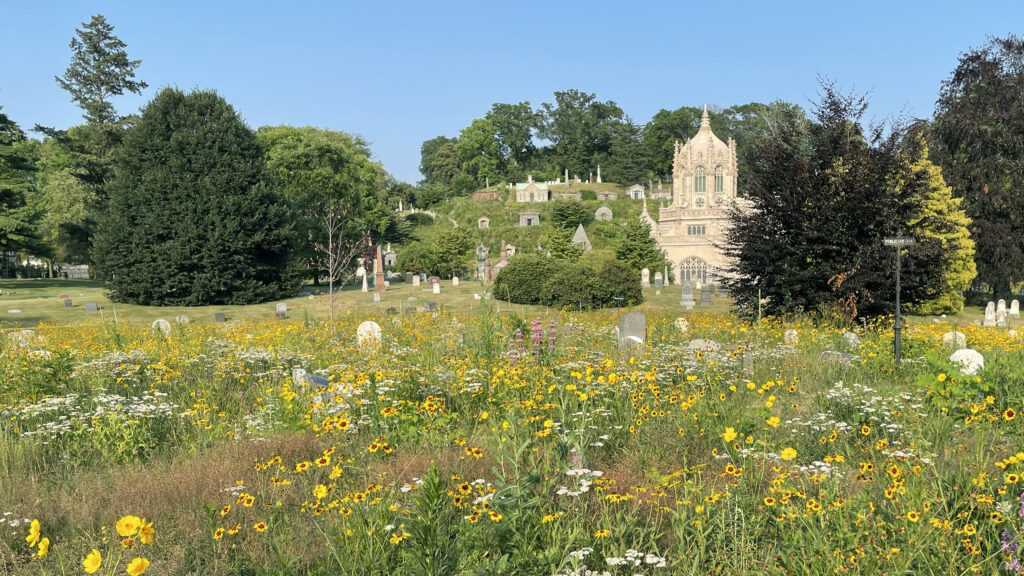 Testing Short Meadows at Green-Wood Cemetery - LWLA